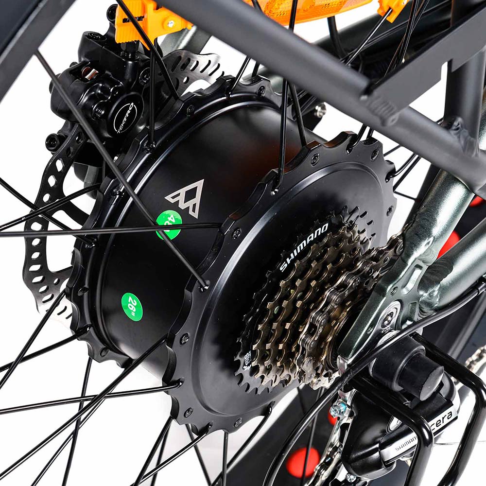 1250W Electric Fat Bike丨MOTAN M-5500 Flying Tiger E-Bike丨MOTAN M-5500 ...