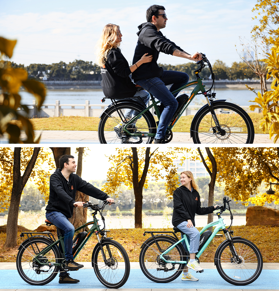 Citypro E-53 Electric Commuter Bike