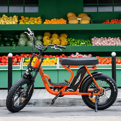 Addmotor Electric Bike Shop- Best E-Bikes | Electric Trikes For Adults