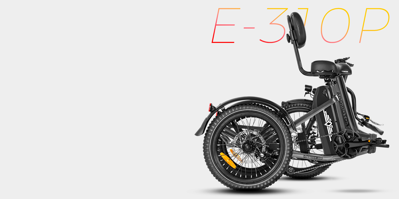 CITYTRI E-310 PLUS,ELECTRIC BIKES