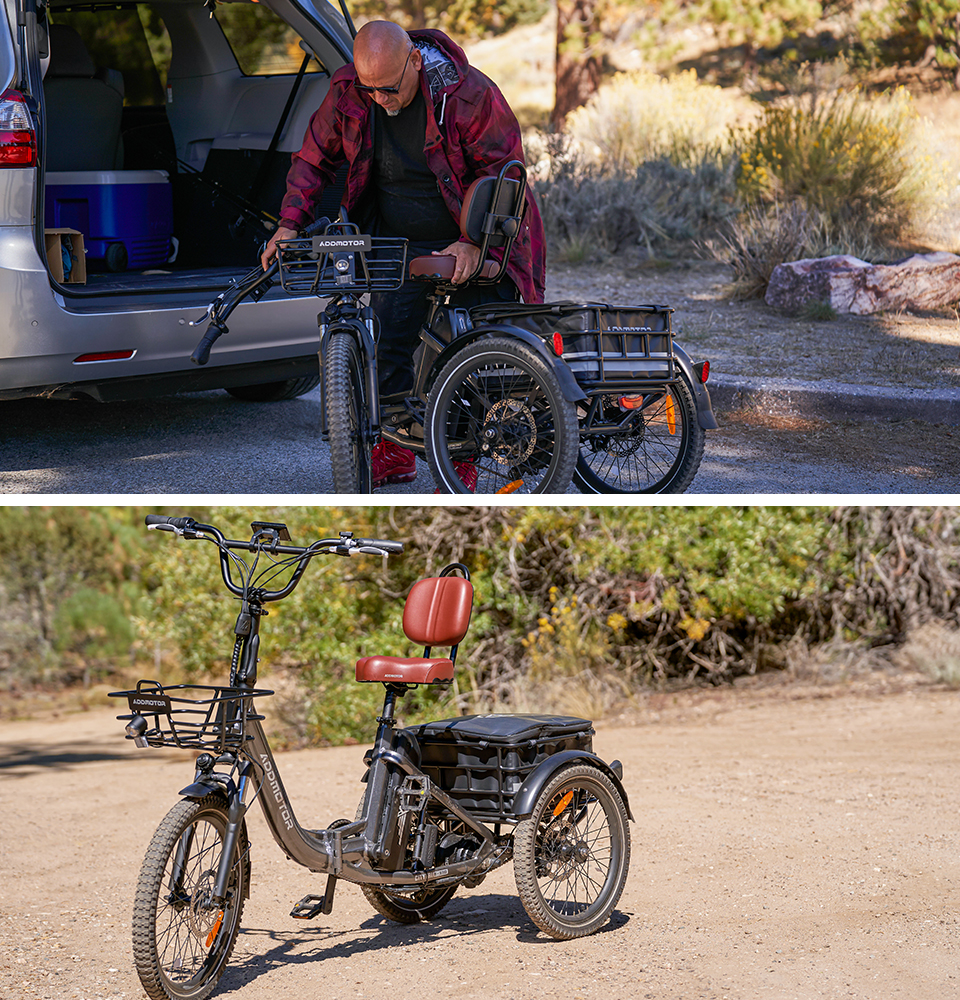 Citytri E-310 Plus Folding eTrike,Under $2000