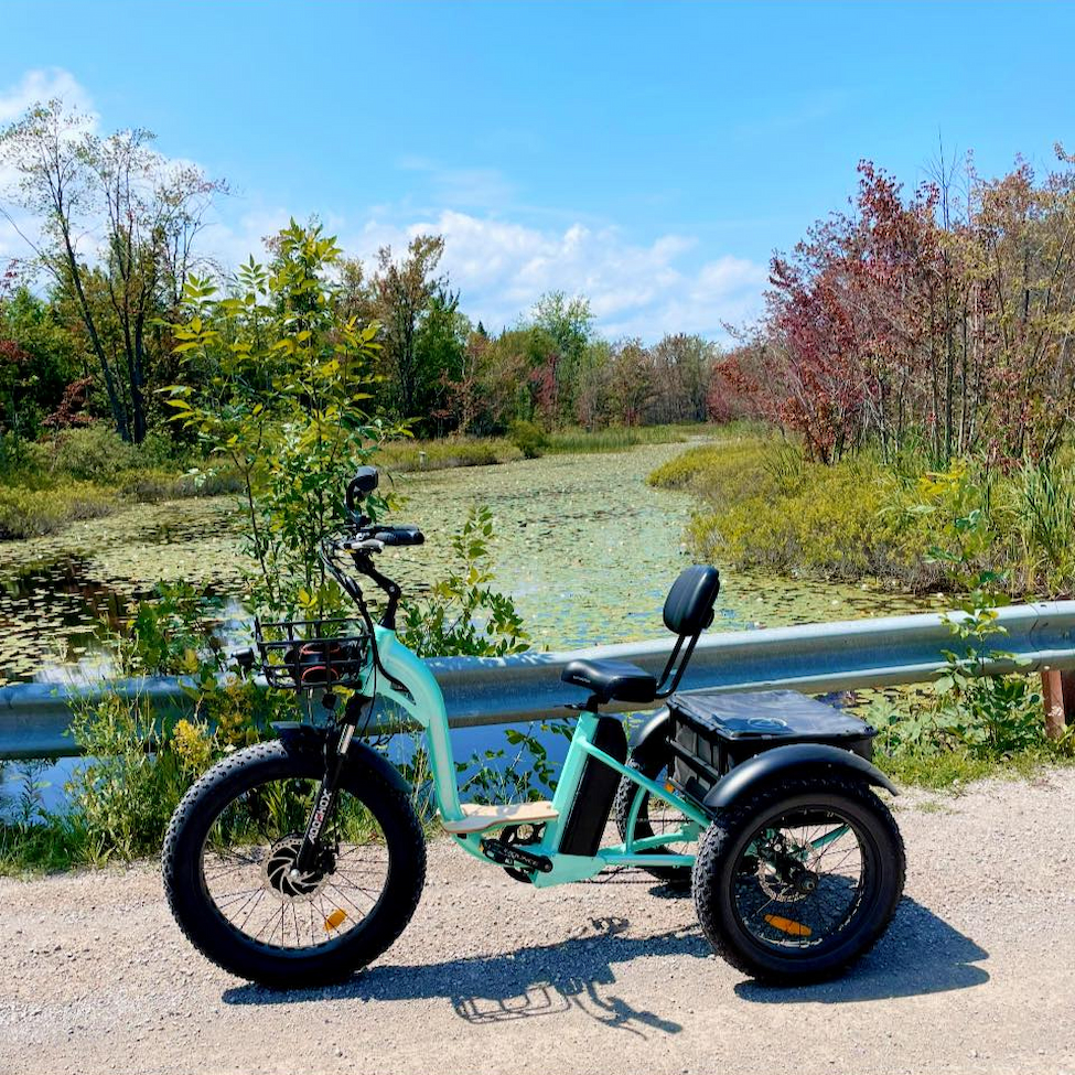 The Best Cargo Electric Bike 2023: Graoopro vs. Garootan