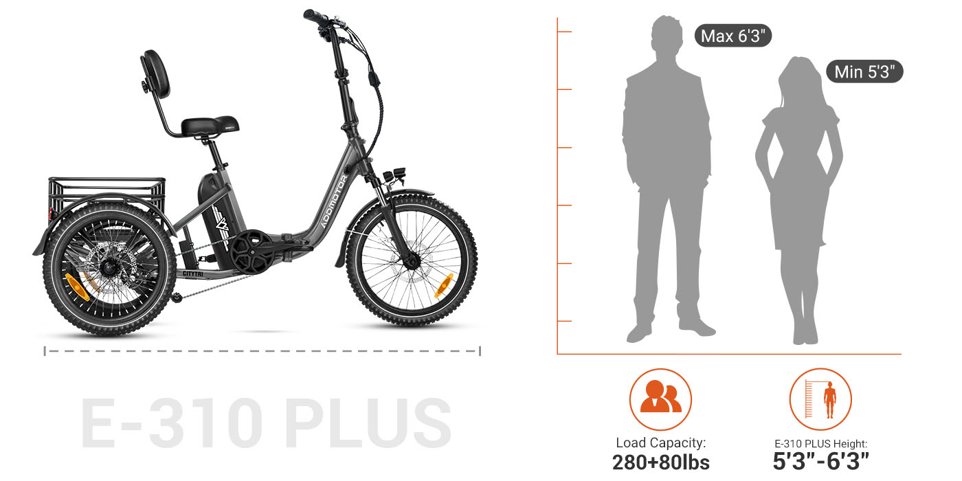 CITYTRI E-310 PLUS,ELECTRIC BIKES