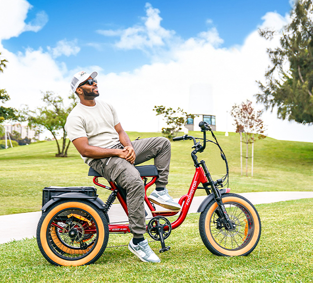 Addmotor HEROTRI M-365X Adult Electric Trike