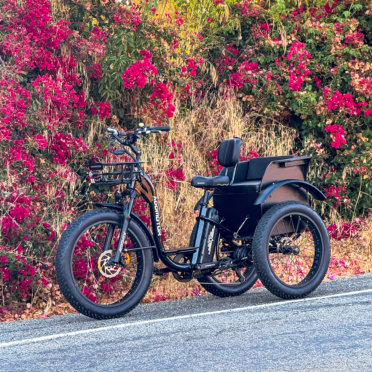 Best Electric Trikes Review 2023-Updated