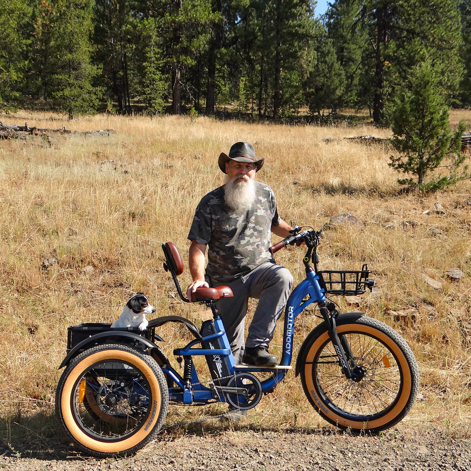 Addmotor Electric Beach Bike, the Best Cruiser Moped Bike.