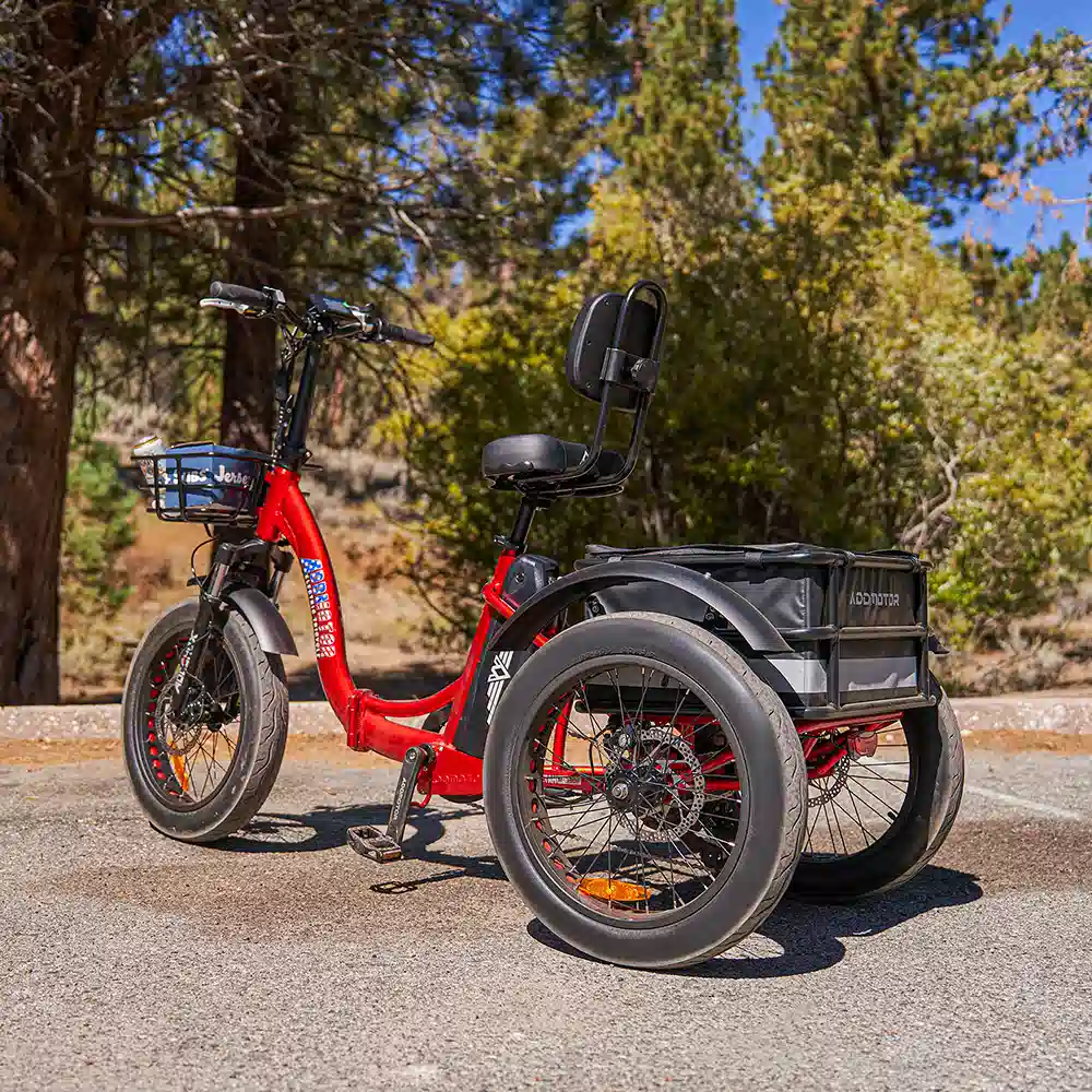Seniors Must Know These 7 Things Before Buying an Electric Trike